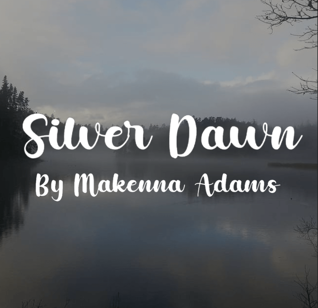 Silver Dawn - The Shield