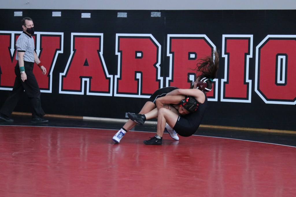 Wrestling Preview - The Shield